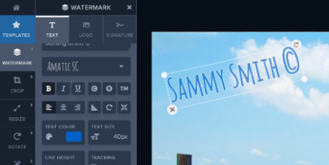 Watermarking - Watermark.ws
