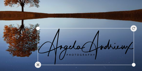 Watermarking - Watermark.ws